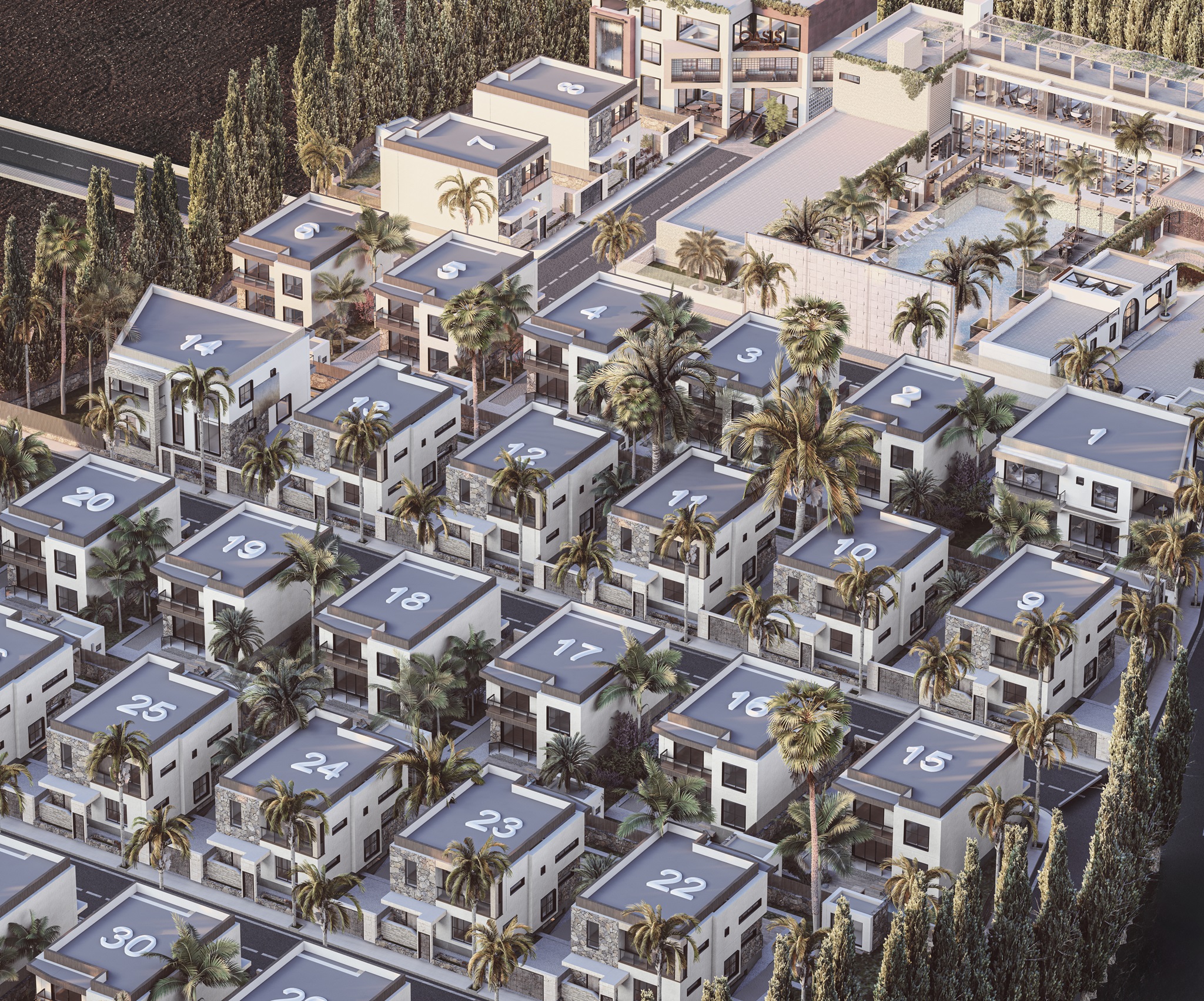 OASIS Project - Kert